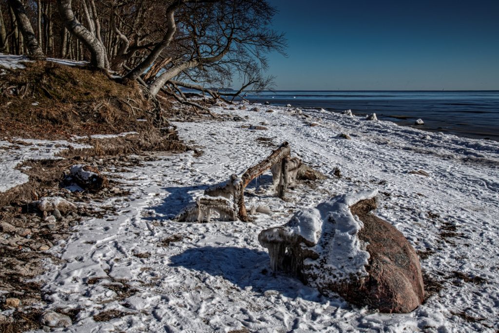 Sibirien/Vemmetofte Strandskov - Storstrøm Afd.