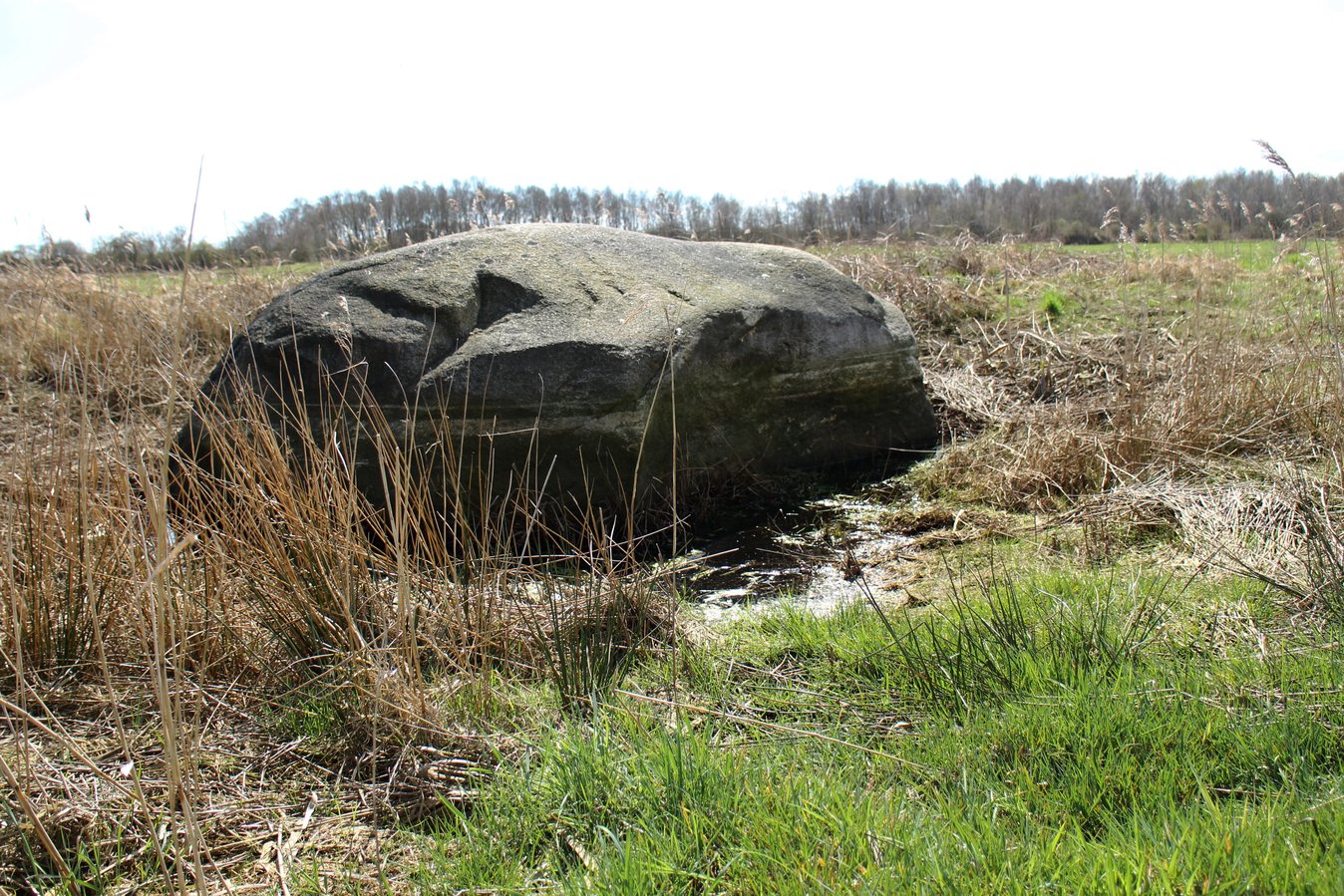 Kæmpestenene - Sønderjylland Afd.