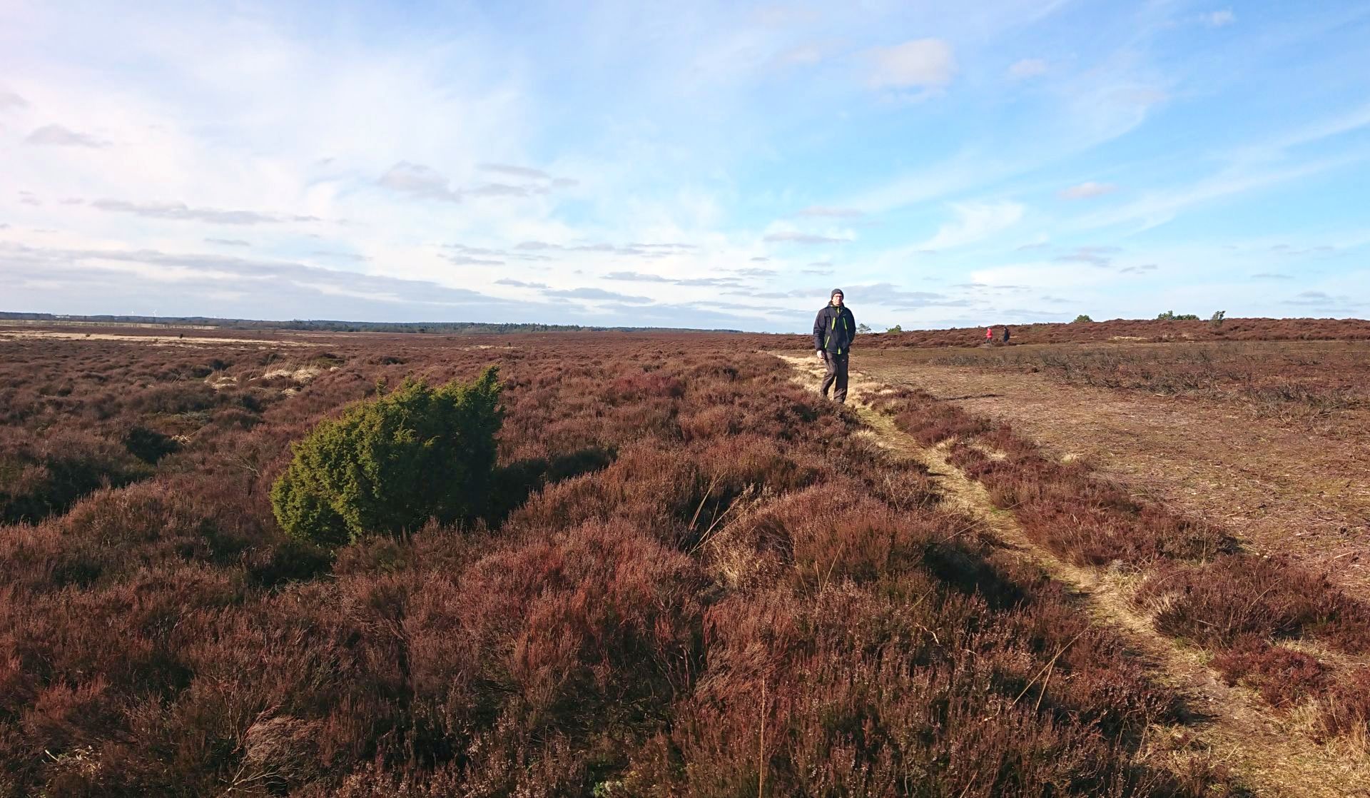 Kongenshus Hede og Mindepark. Frisk luft og plads