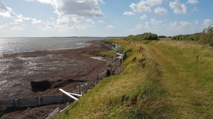 Egholm er en lille ø i Limfjorden med fem minutters sejltur fra Ålborg